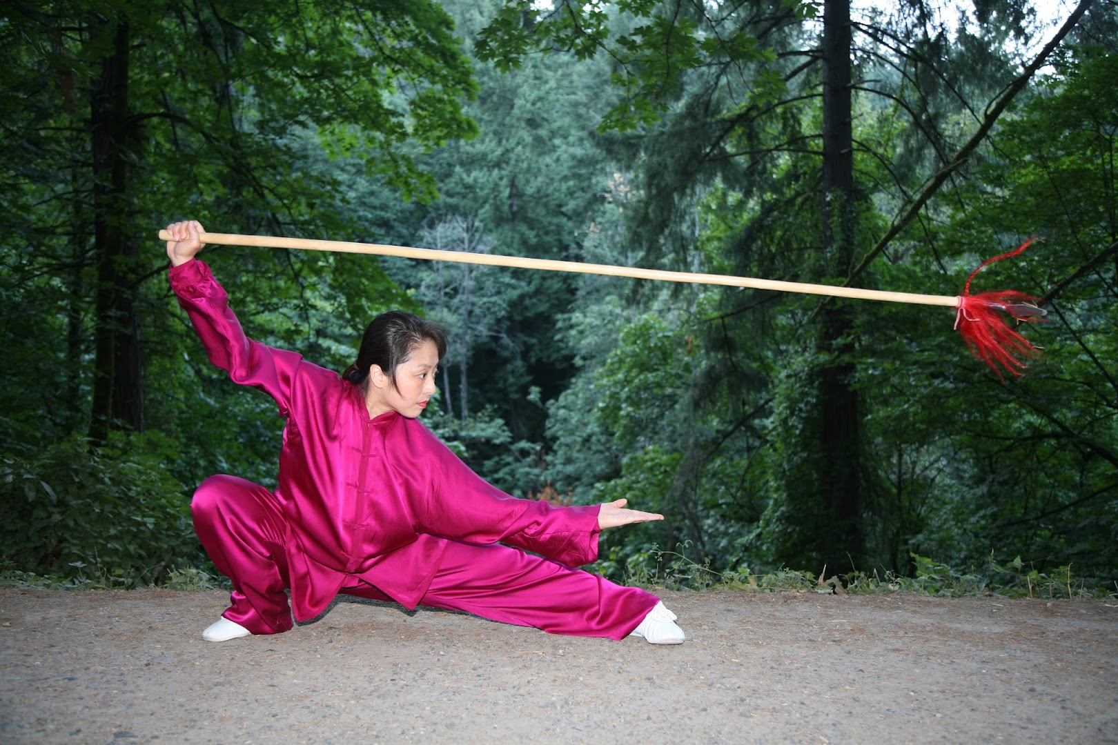 U.S. Wushu Center - Chinese Kung Fu-Tai Chi - Mapping Martial Arts