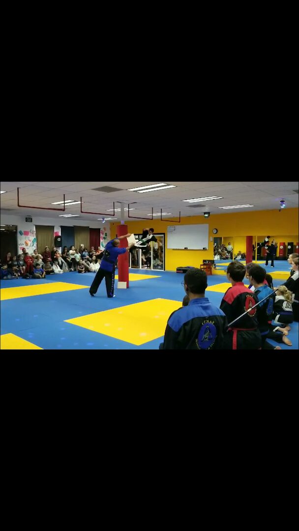 CFMAF Martial Arts & Fitness - Mapping Martial Arts