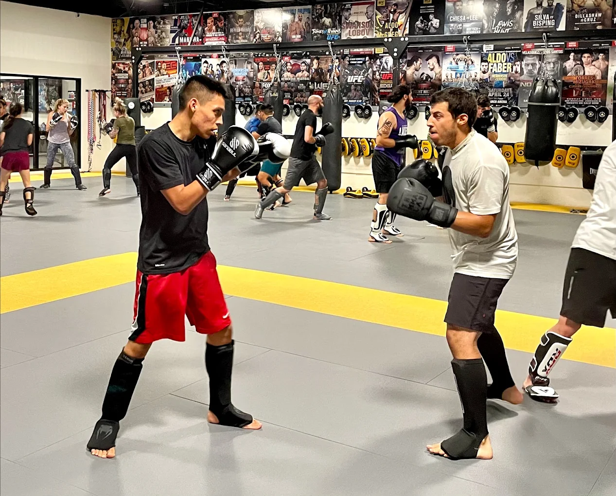The MMA Lab - Mapping Martial Arts